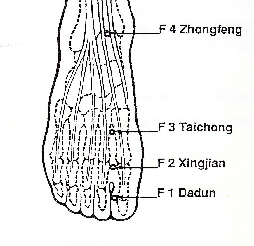 Digipuncture 3 F Tai chong - Brigitte Fumagalli