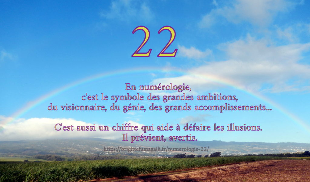 Le nombre 22 - Brigitte Fumagalli